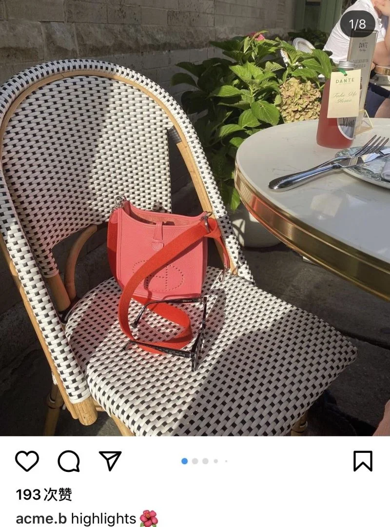 Economical Hermes Evelyn Bags