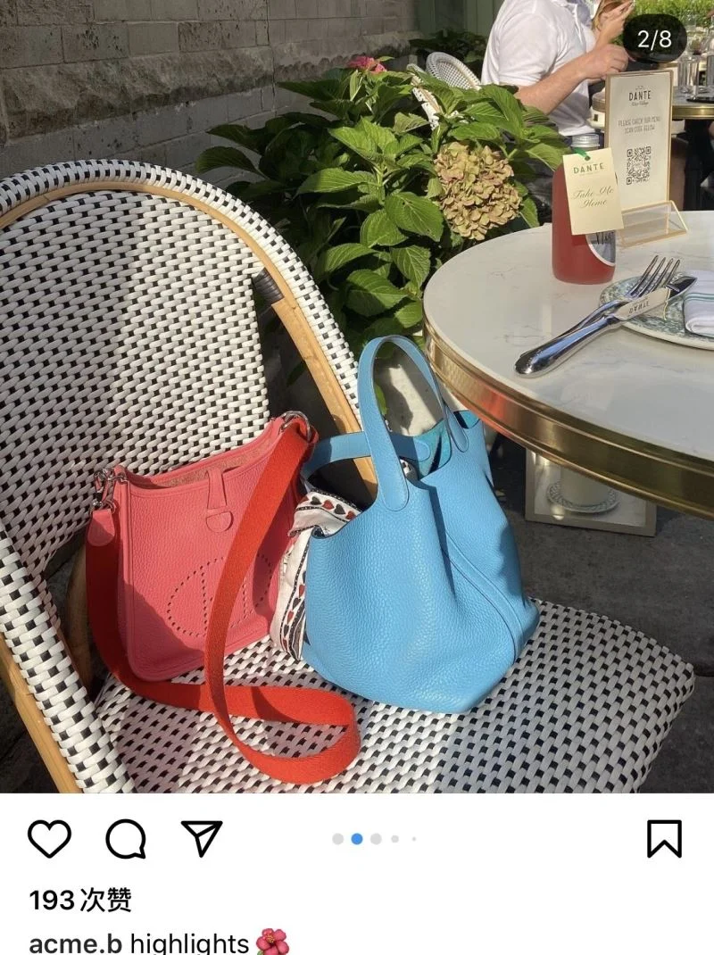 Economical Hermes Evelyn Bags