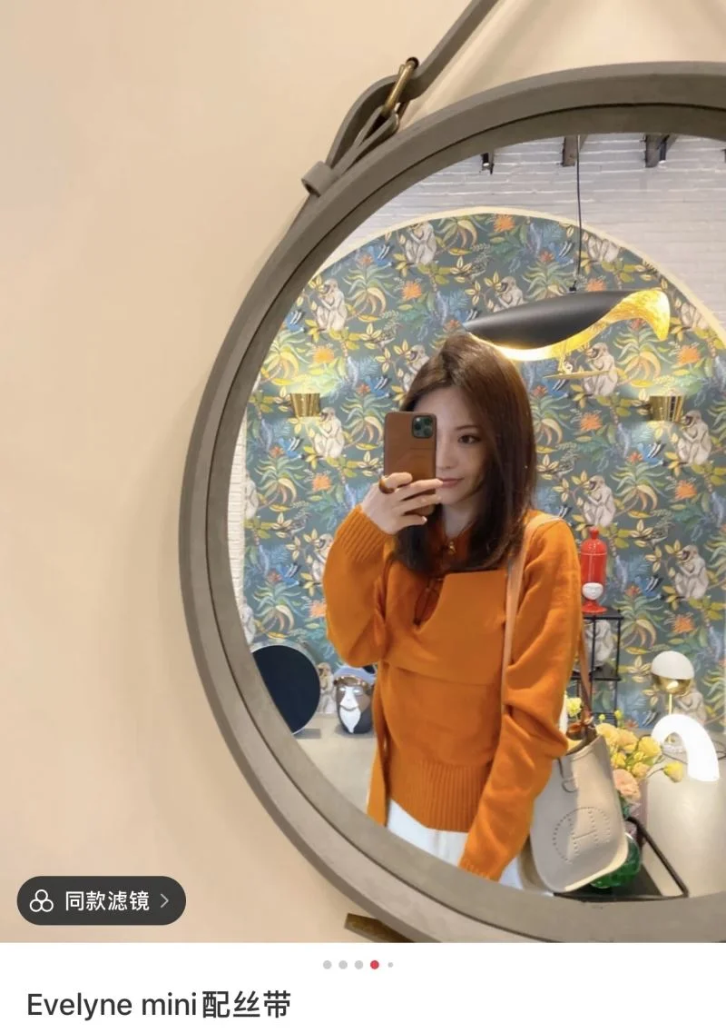 Authentic Hermes Evelyn Bags
