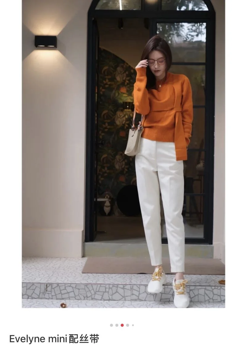 Authentic Hermes Evelyn Bags