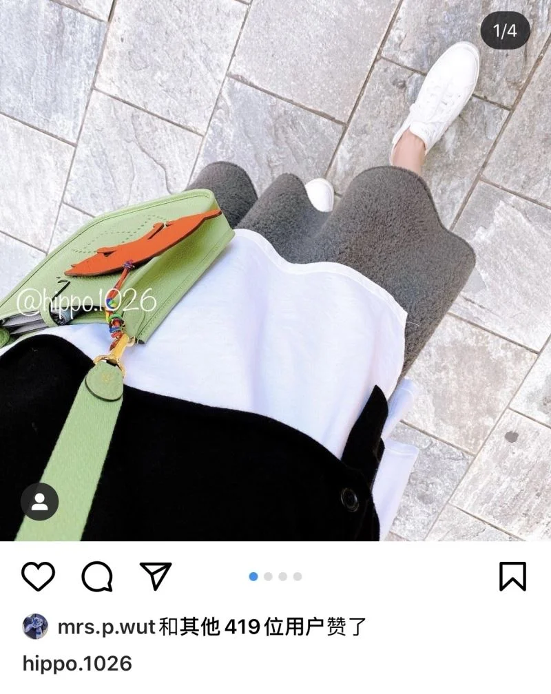 Affordable Hermes Evelyn Bags