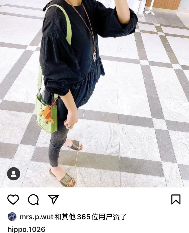 Affordable Hermes Evelyn Bags