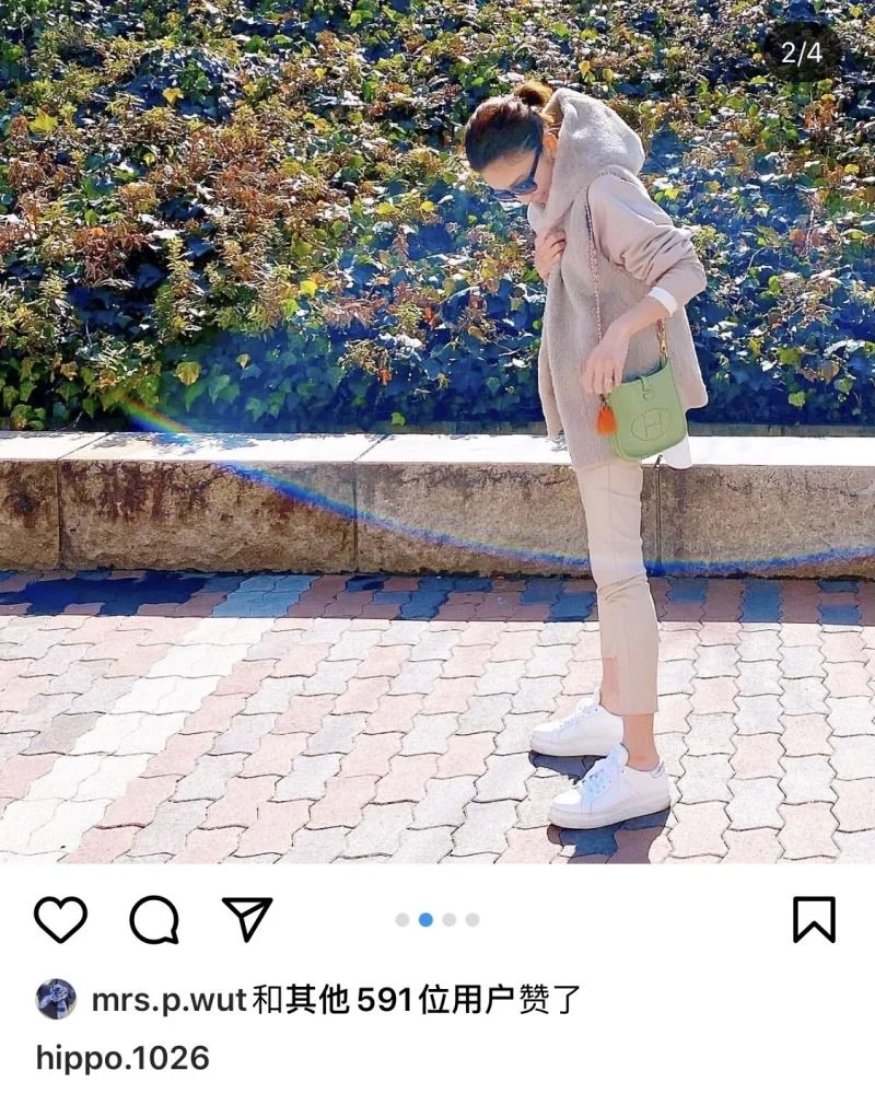 Affordable Hermes Evelyn Bags