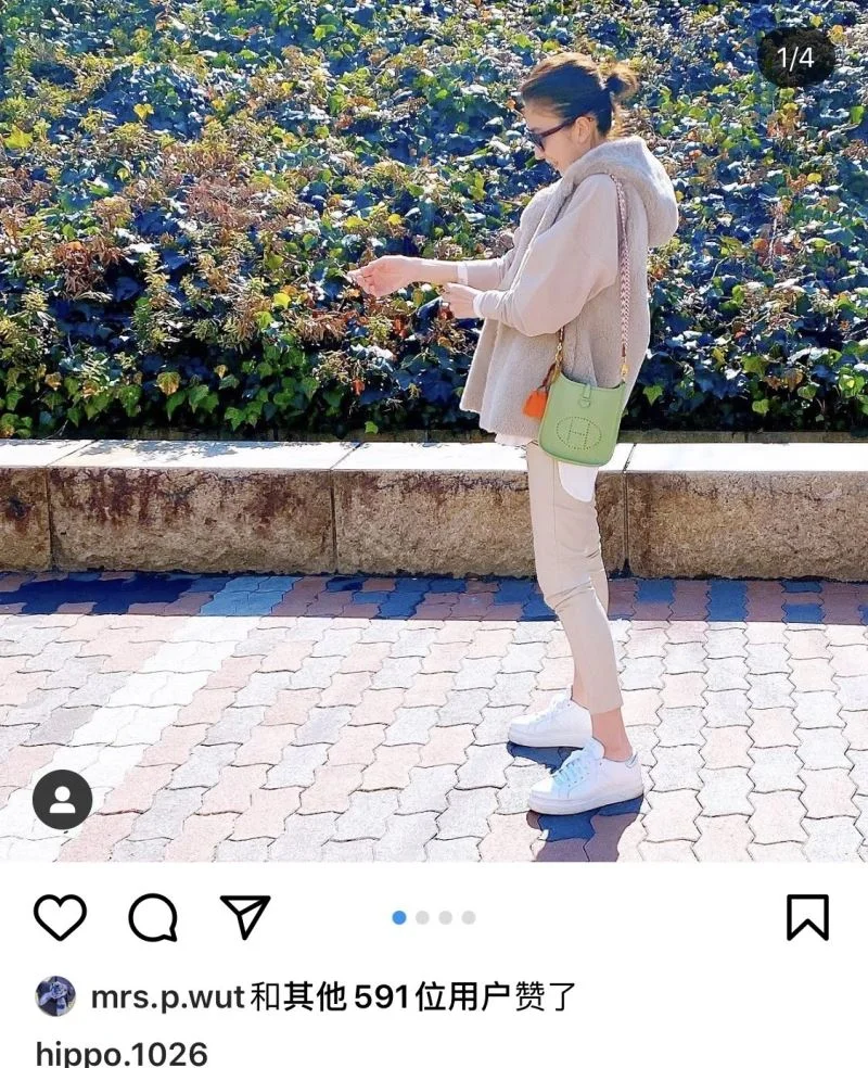 Affordable Hermes Evelyn Bags
