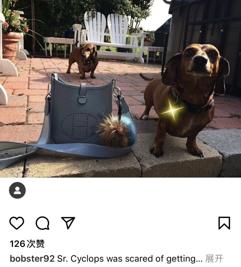 Precise copy Hermes Evelyn Bags