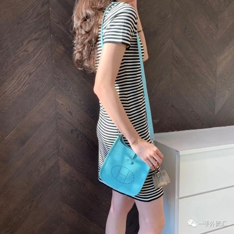 Official Hermes Evelyn Bags