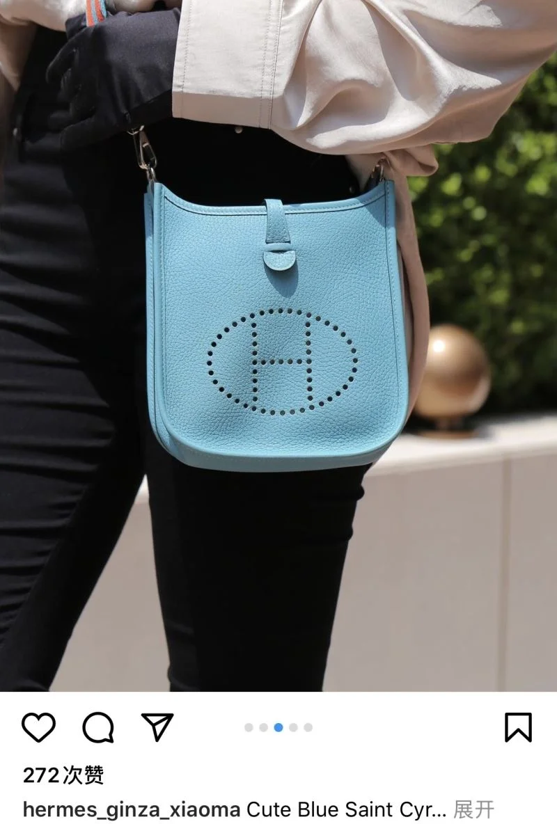 Official Hermes Evelyn Bags