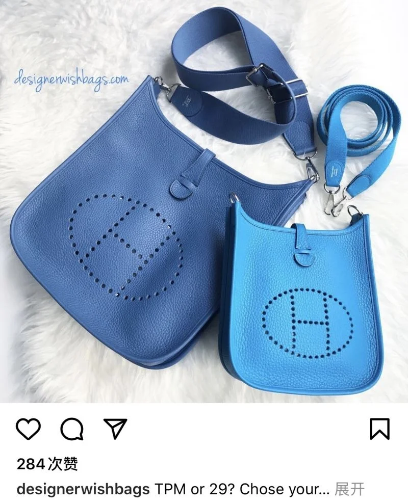 Official Hermes Evelyn Bags