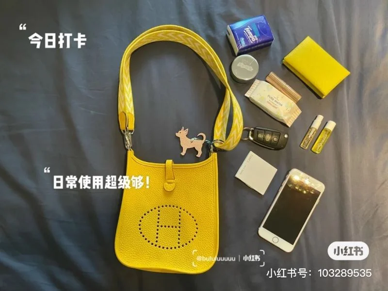 Authentic Hermes Evelyn Bags