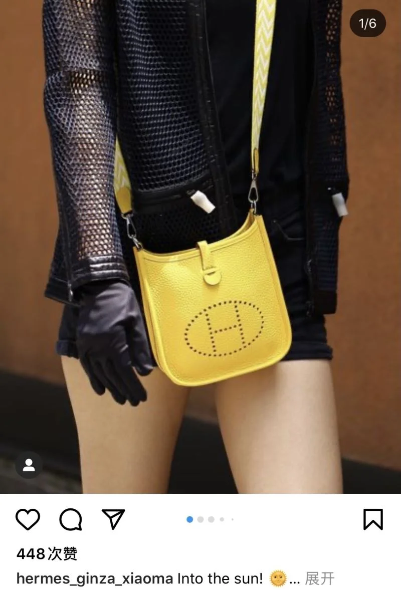 Authentic Hermes Evelyn Bags