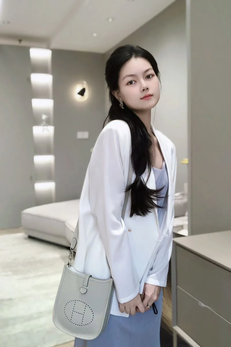 Discounted Hermes Evelyn Bags