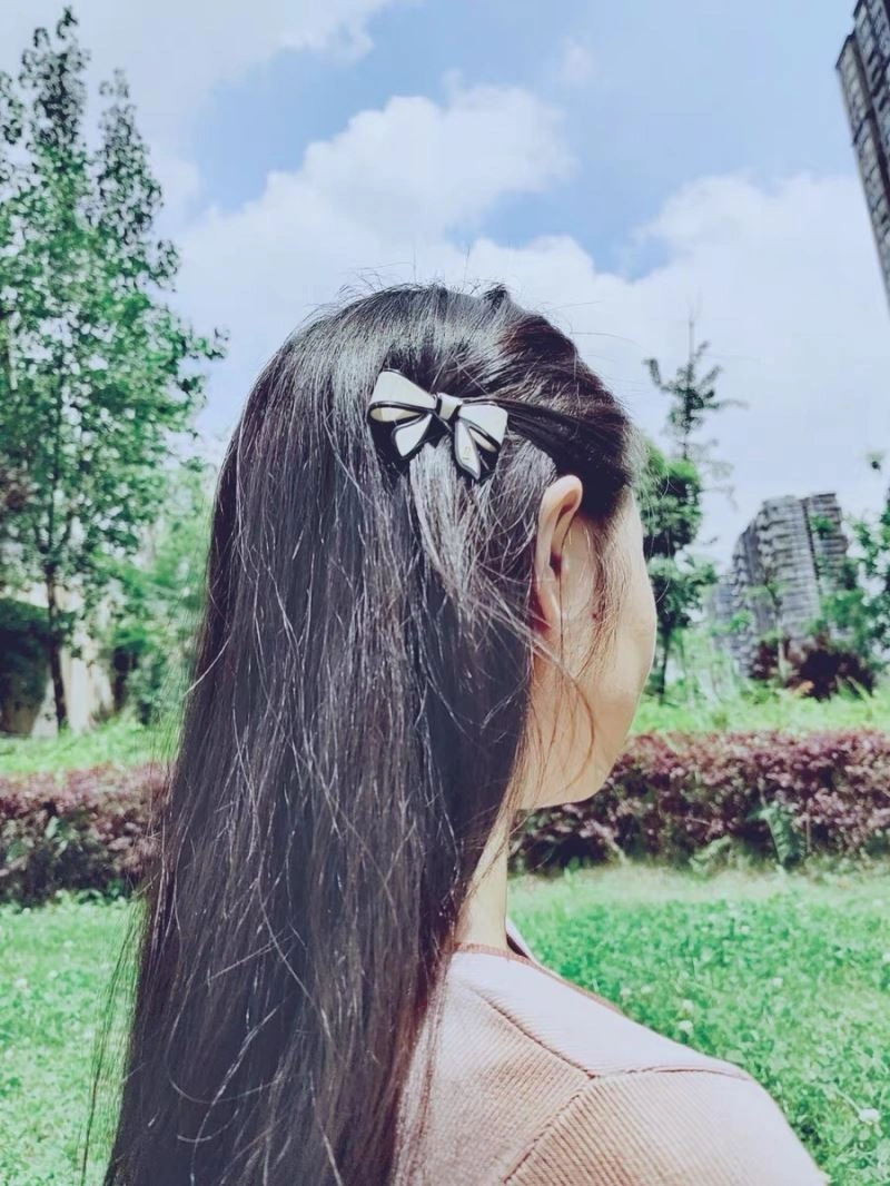 Genuine Hermes Hairpins