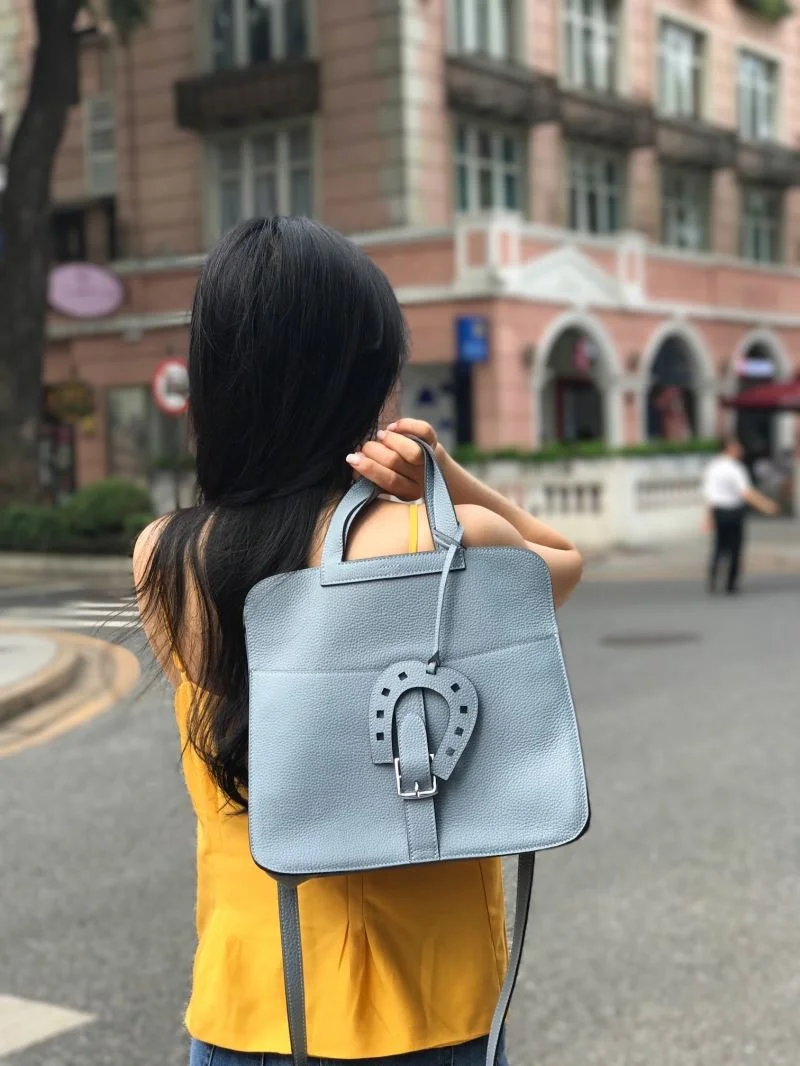 Top mirror Hermes Halzan Bags