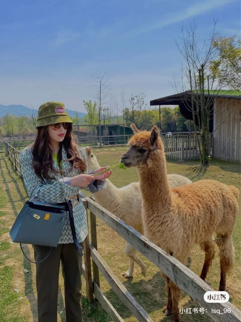 Low-cost Hermes Kelly Bags