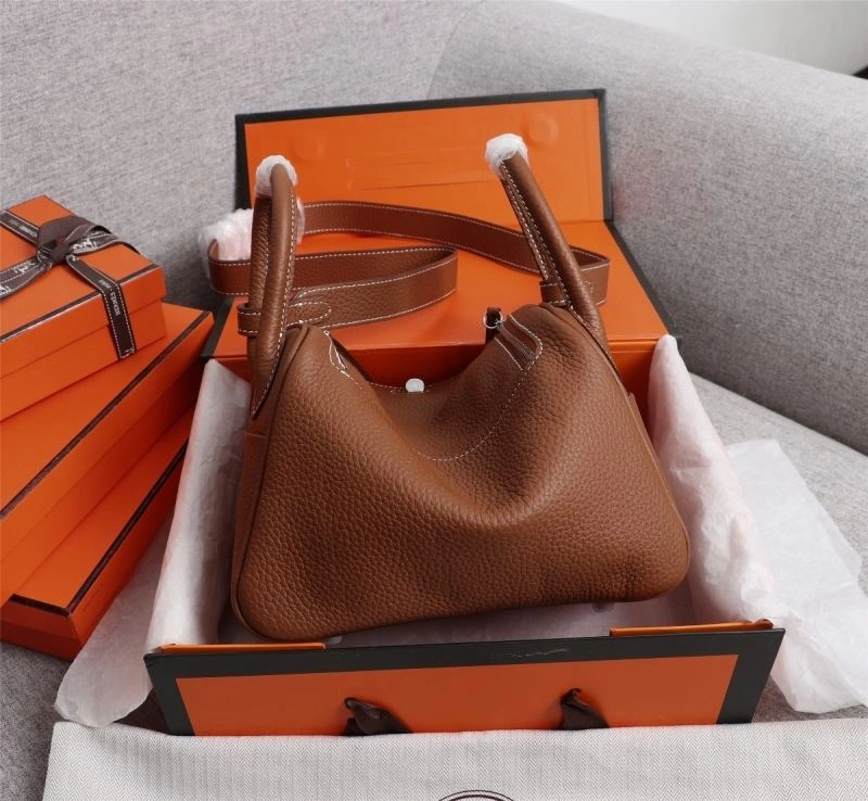 Top mirror Hermes Lindy Bags