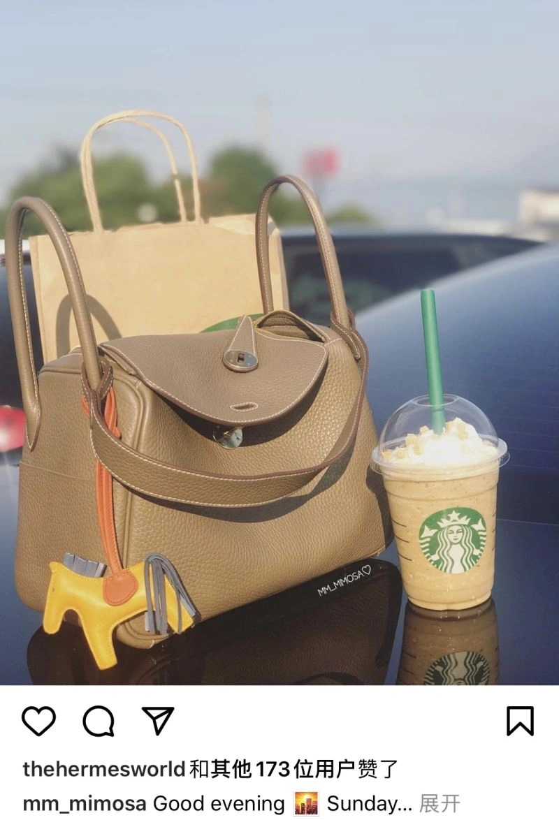 Value-priced Hermes Lindy Bags