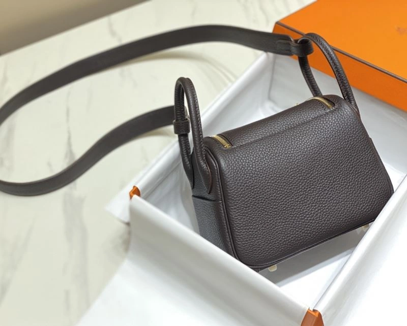Top mirror Hermes Lindy Bags