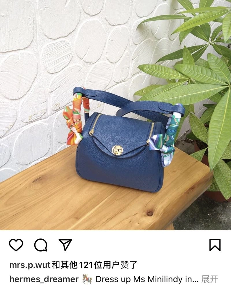 OEM Hermes Lindy Bags