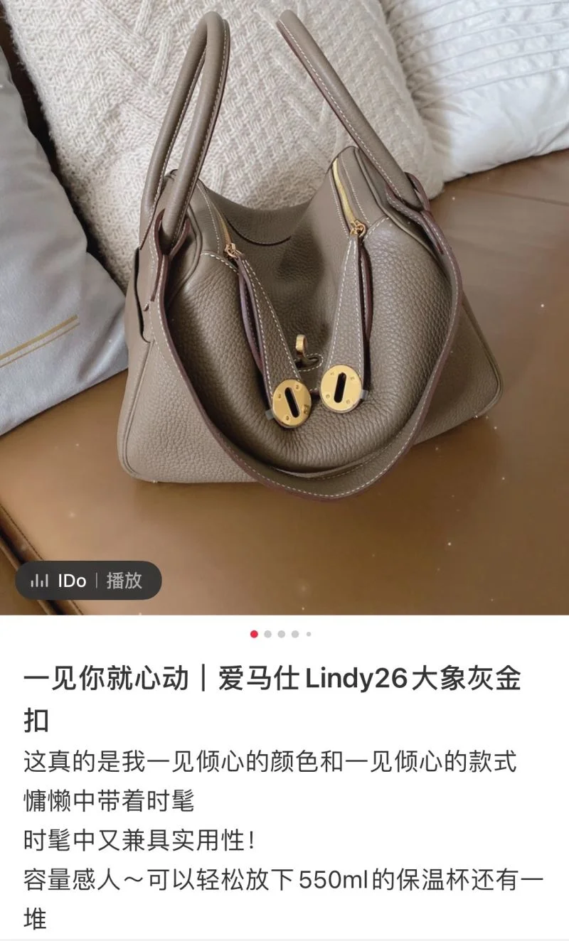 Official Hermes Lindy Bags