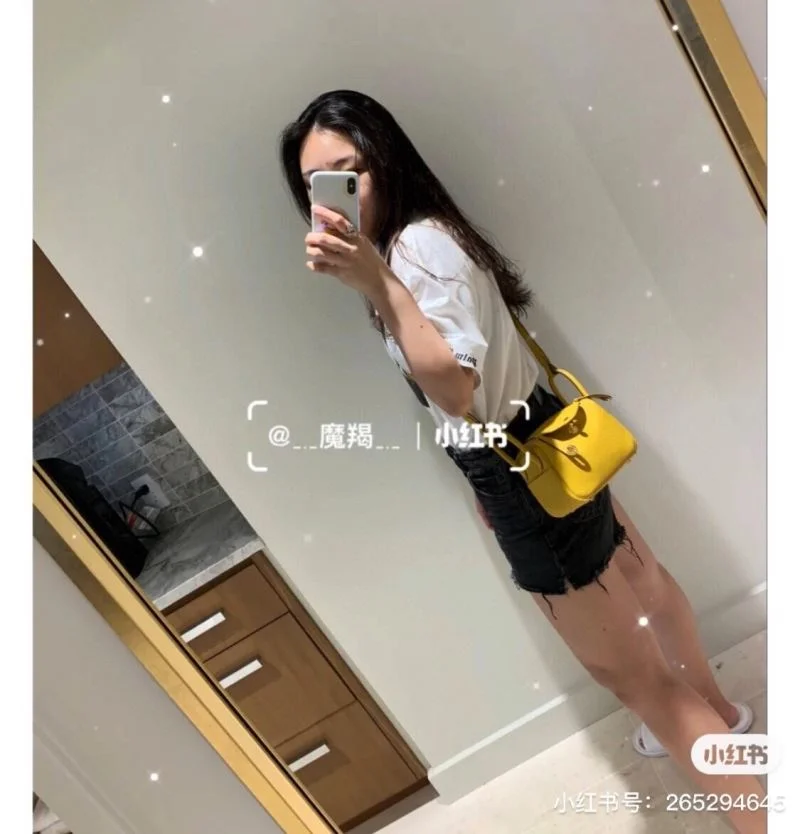 Affordable Hermes Lindy Bags