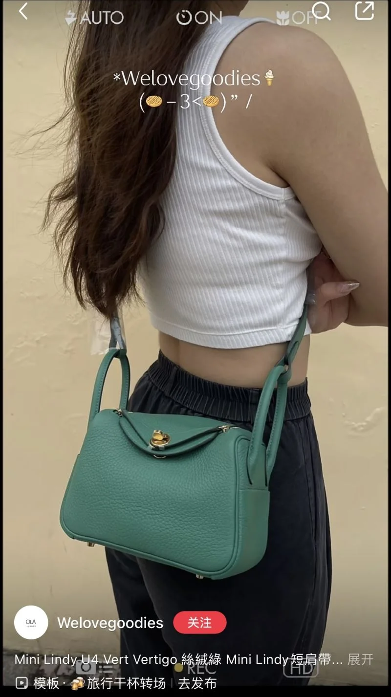 Original Hermes Lindy Bags