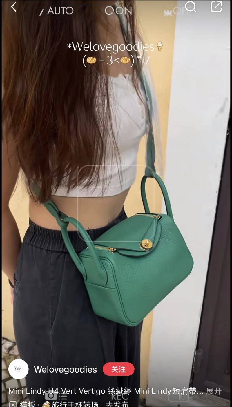 Original Hermes Lindy Bags