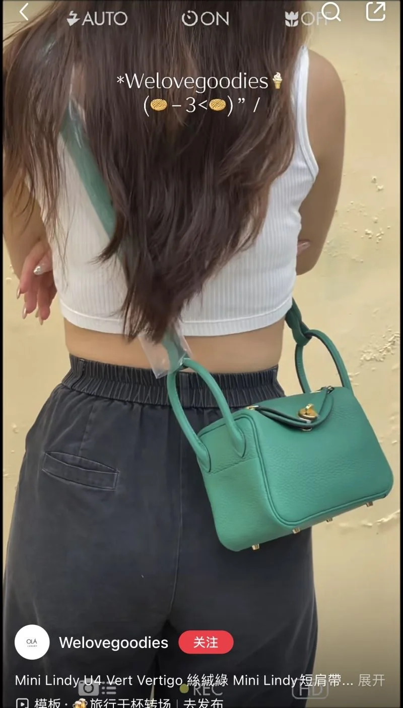 Original Hermes Lindy Bags