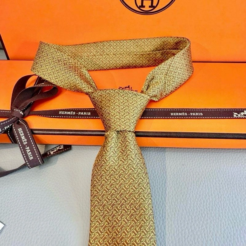Top match Hermes Neckties