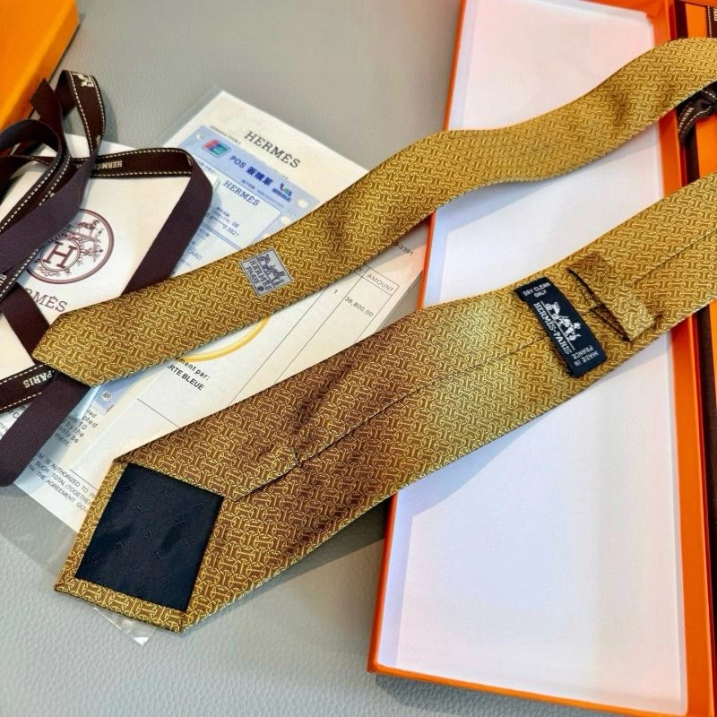 Top match Hermes Neckties