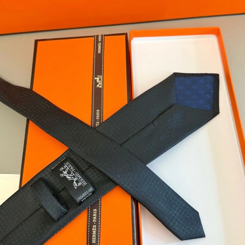 Top match Hermes Neckties
