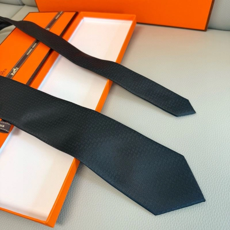 Top match Hermes Neckties