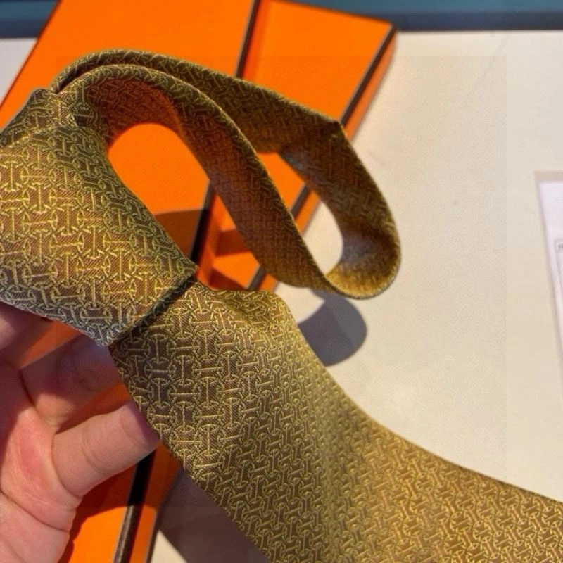 Top match Hermes Neckties