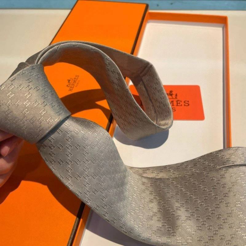 High fidelity Hermes Neckties