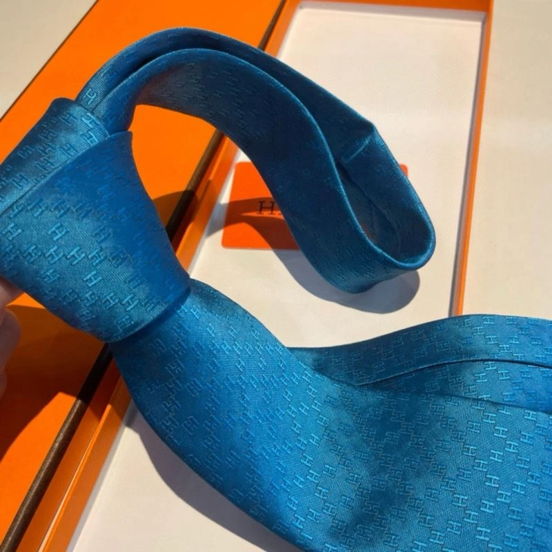 Top match Hermes Neckties