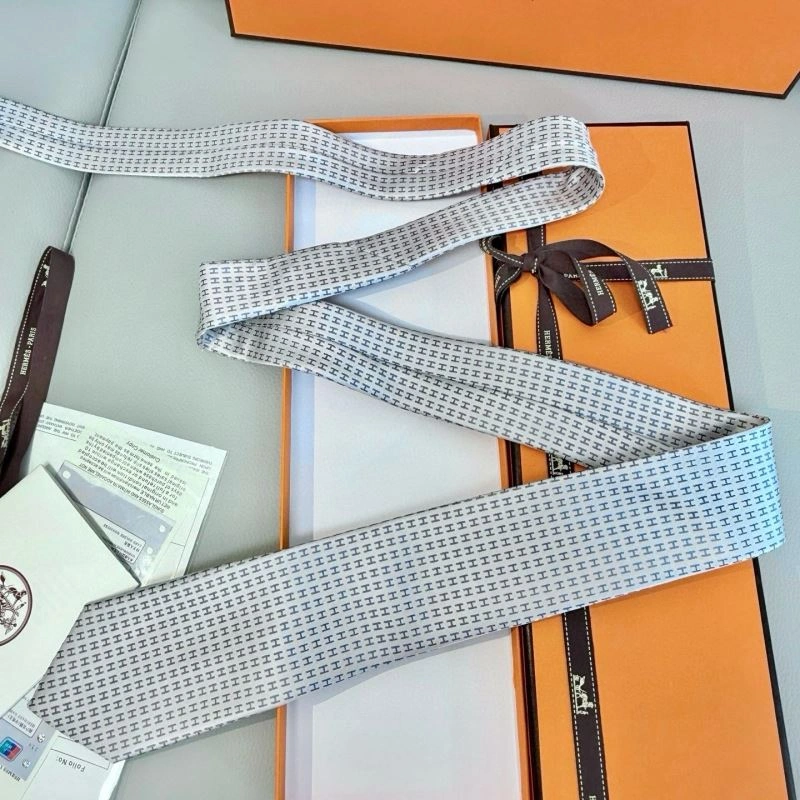 Top mirror Hermes Neckties