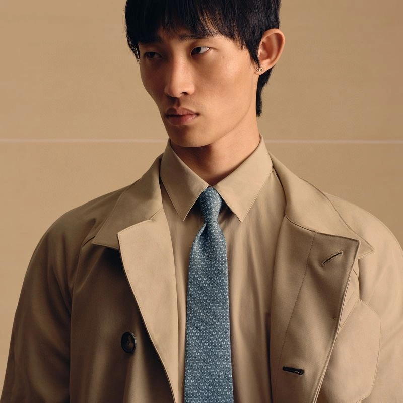 Brand-authenticated Hermes Neckties