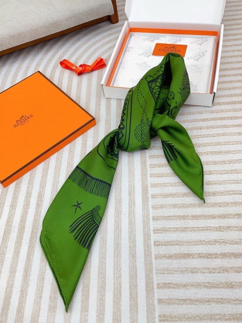 Top match Hermes Scarf