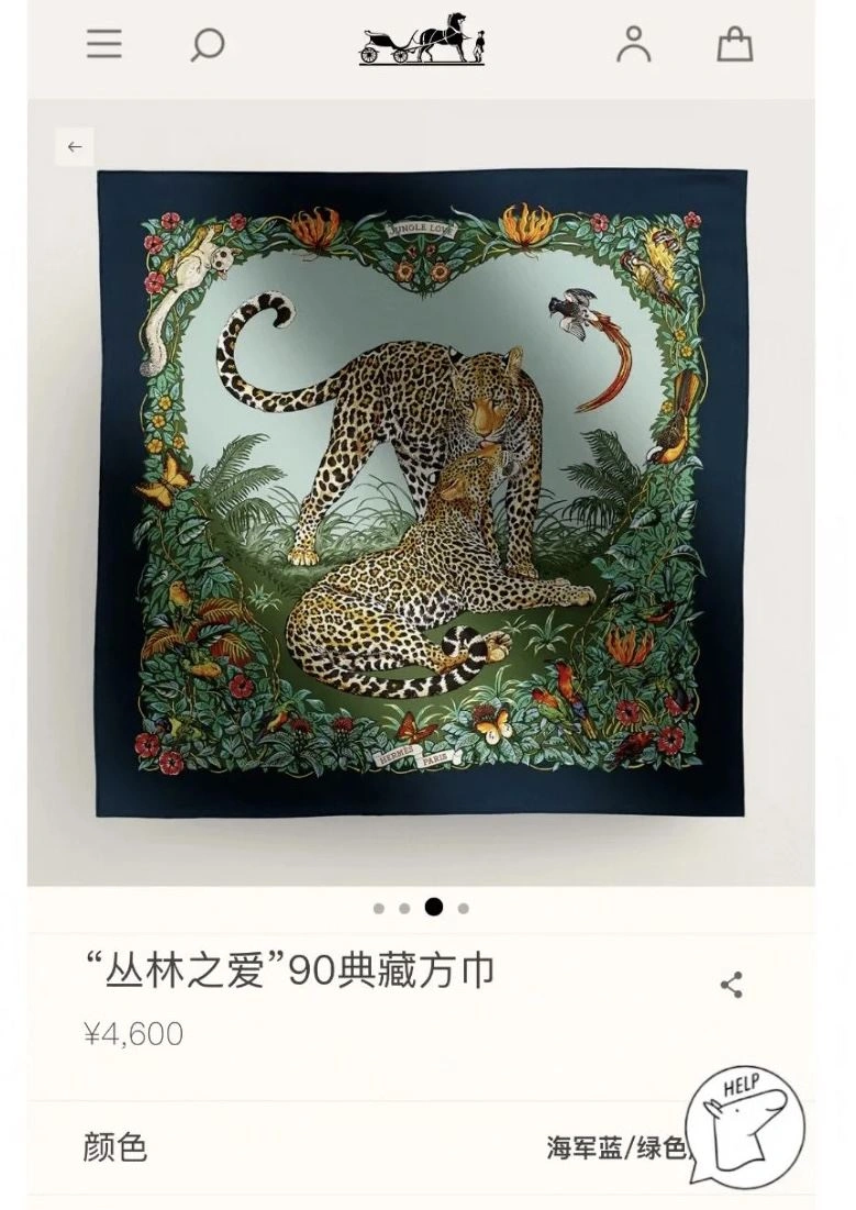 Top mirror Hermes Scarf