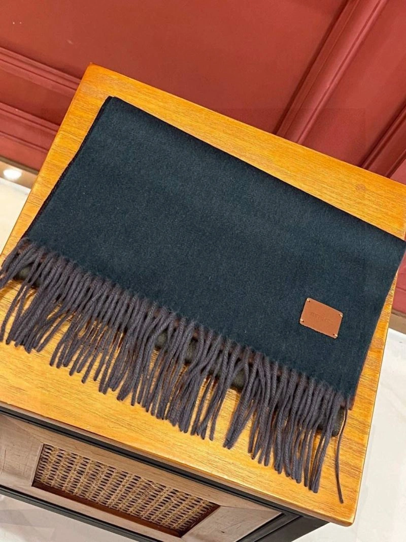 Economical Hermes Scarf