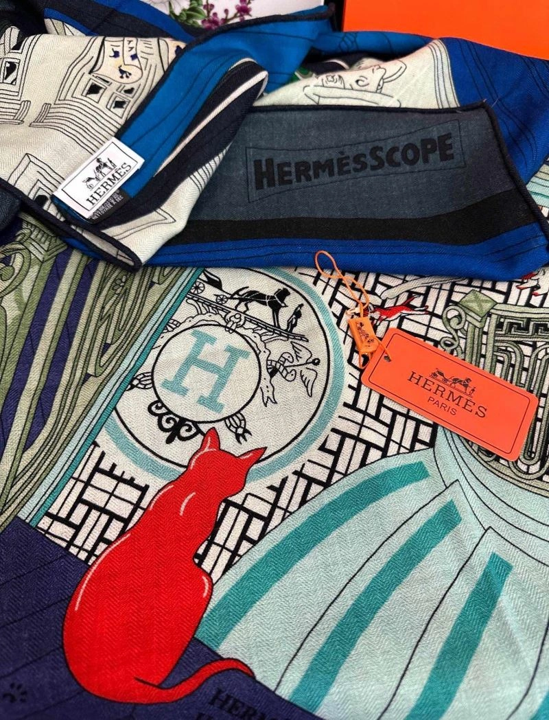Top match Hermes Scarf