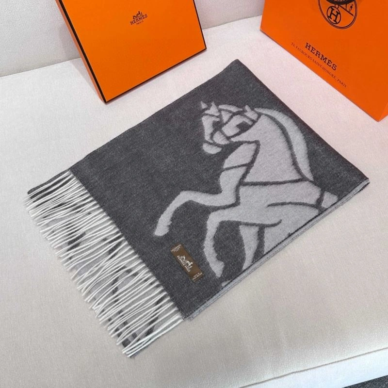 Top mirror Hermes Scarf