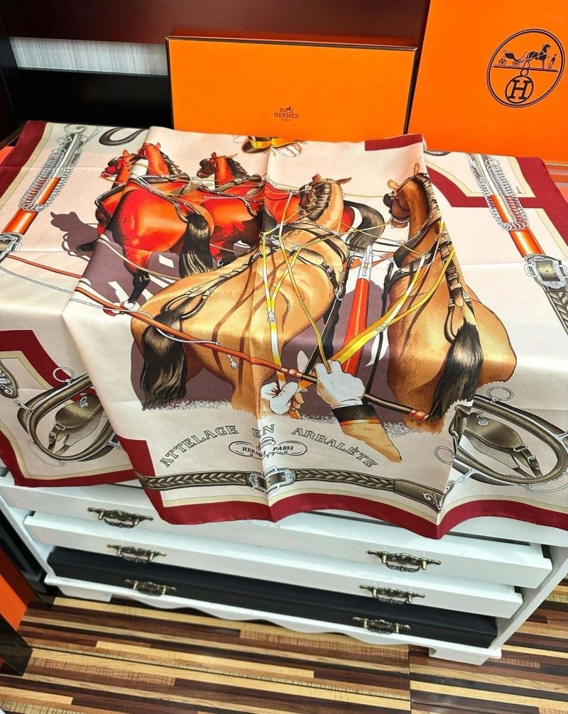 Economical Hermes Scarf