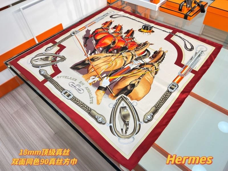 Hermes Scarf