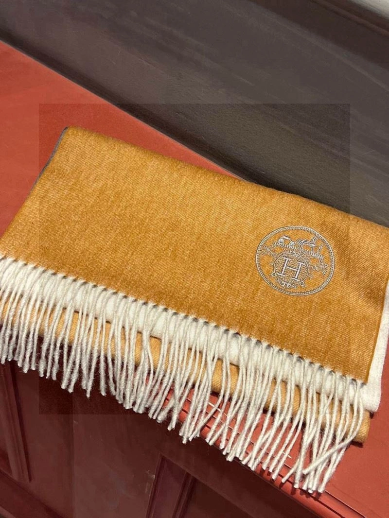 Budget-friendly Hermes Scarf