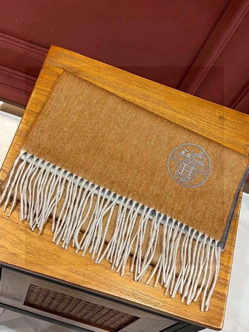 Budget-friendly Hermes Scarf