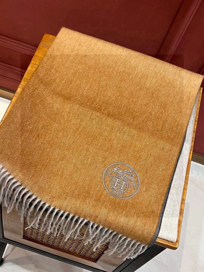 Budget-friendly Hermes Scarf