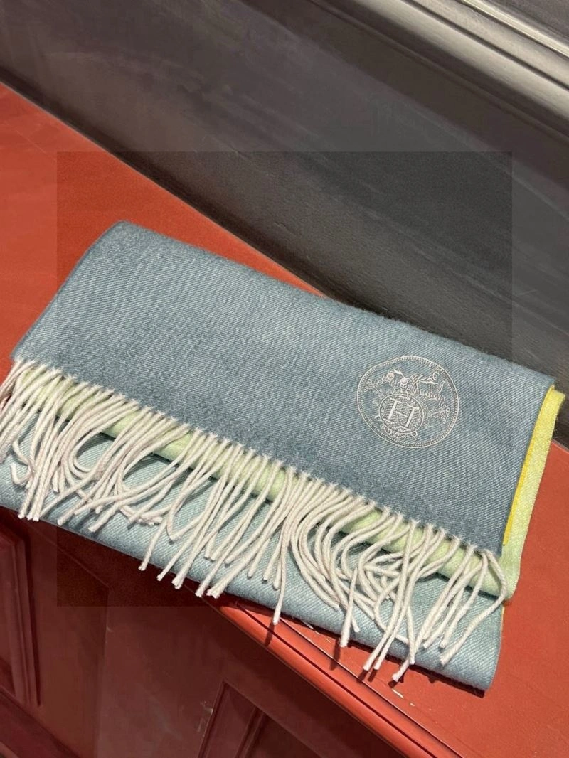 Reasonably priced Hermes Scarf