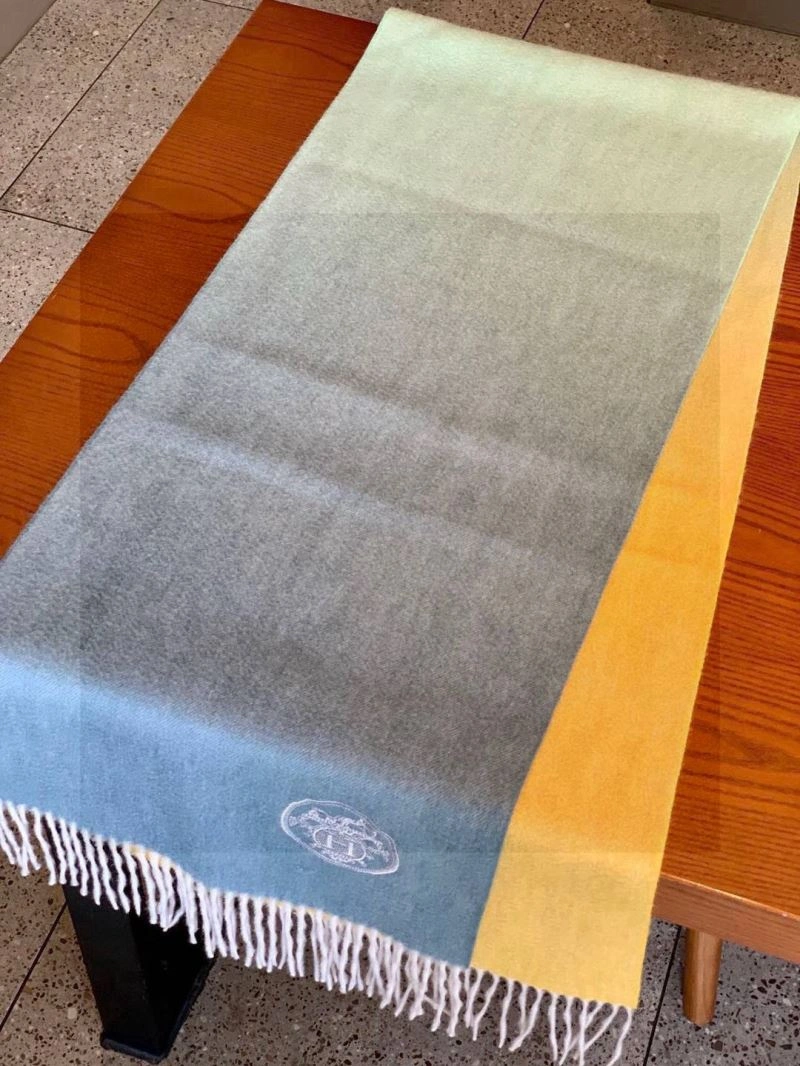 Reasonably priced Hermes Scarf