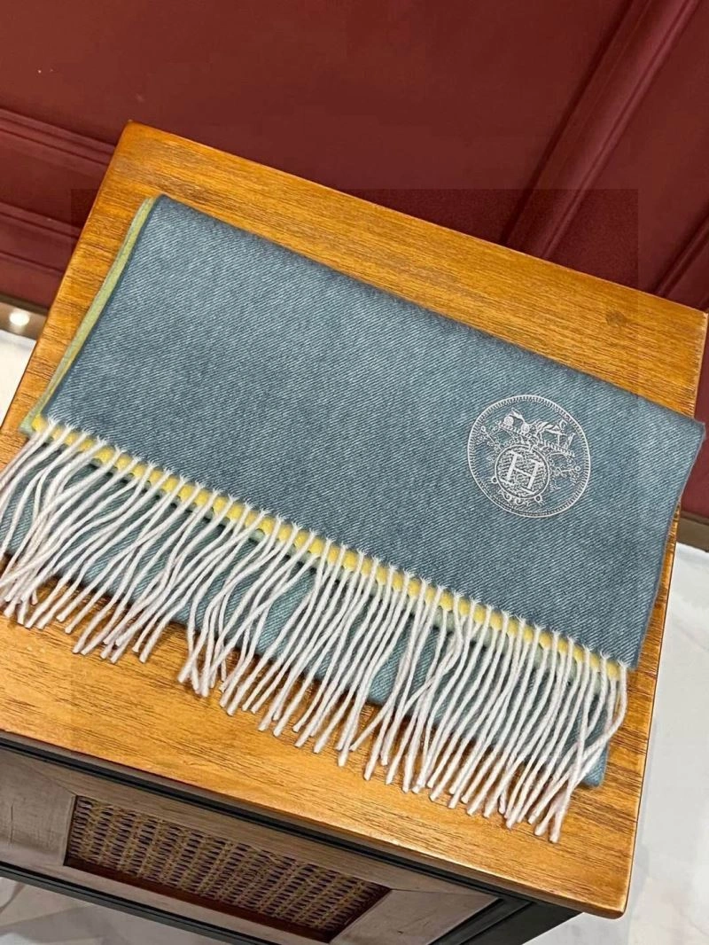 Reasonably priced Hermes Scarf