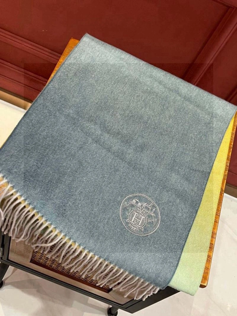 Reasonably priced Hermes Scarf